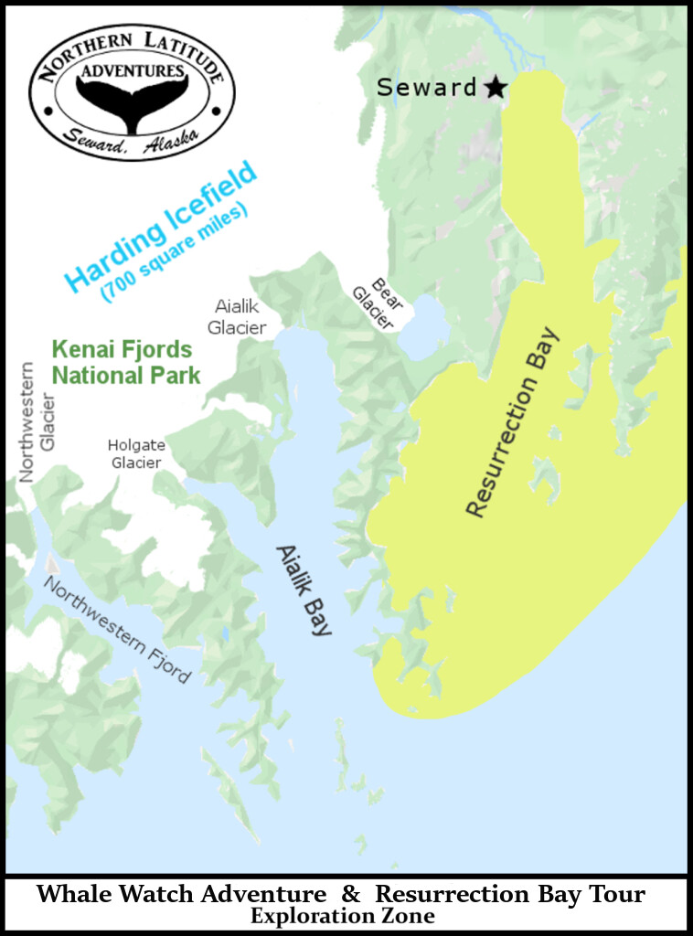 Seward Alaska Whale Watching - Northern Latitude Adventures
